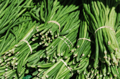 Kouseband kopen? | Fruit uit Zuid | Exotisch Fruit & Groenten Specialist